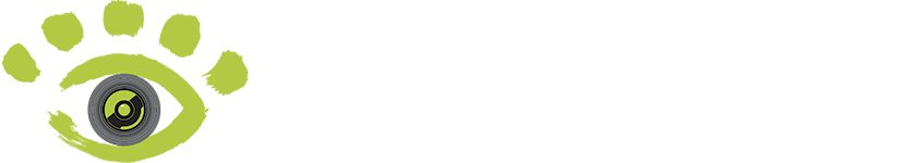 Predošlé projekty